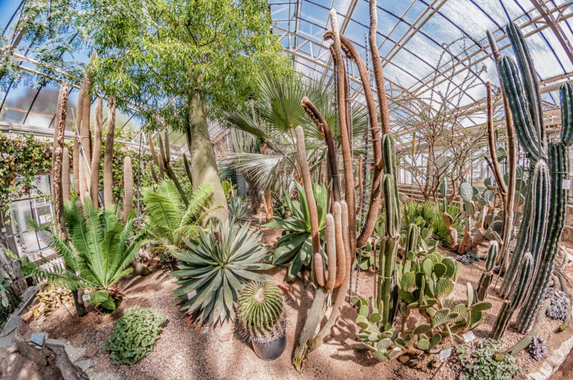 Jardines botánicos de Costa Rica - Jardín botánico